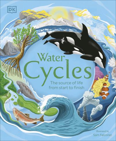 Water Cycles — Seeds Children's Bookstore