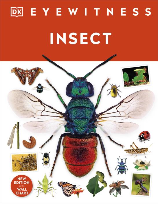 Insect — Seeds Children's Bookstore