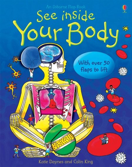 See Inside Your Body — Seeds Children's Bookstore
