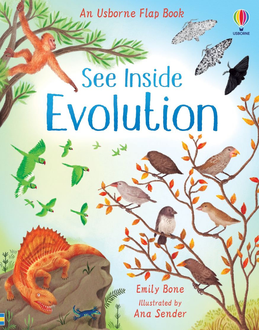 See Inside Evolution — Seeds Children's Bookstore