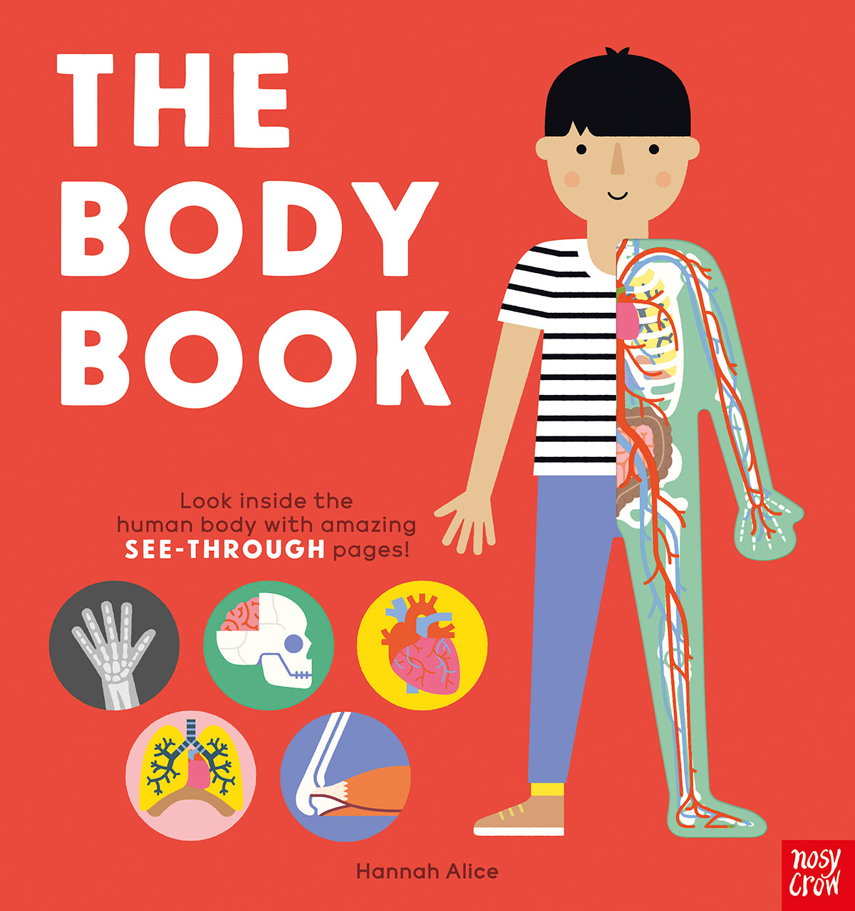 The Body Book — Seeds Children's Bookstore
