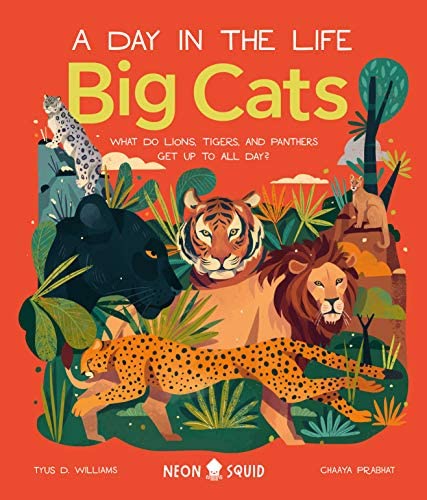 Big Cats A Day In The Life Seeds Children s Bookstore Big Cats A Day In The Life Seeds Children s Bookstore